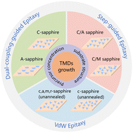 Large-area single-crystal TMD growth modulated by sapphire substrates ...