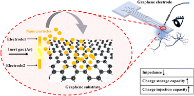 Surface modification of multilayer graphene electrodes by local ...
