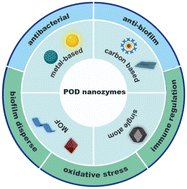 Advanced nanozymes possess peroxidase-like catalytic activities in ...