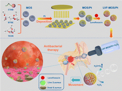 Janus mesoporous organosilica/platinum nanomotors for active treatment ...