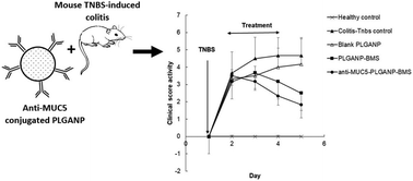 Active nanoparticle targeting of MUC5AC ameliorates therapeutic outcome ...