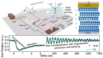 Manipulating ultrafast magnetization dynamics of ferromagnets using the ...