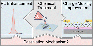 Chemical passivation of 2D transition metal dichalcogenides: strategies ...