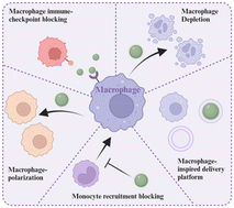 Macrophage-modulating nanomedicine for cancer immunotherapy - Nanoscale ...