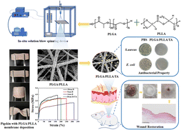 Automatic in situ short-distance deposition of PLGA/PLLA composite nanofibrous membranes for ...
