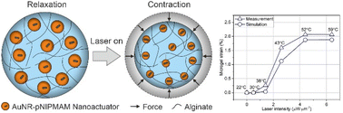 A multiscale approach to assess thermomechanical performance and force ...