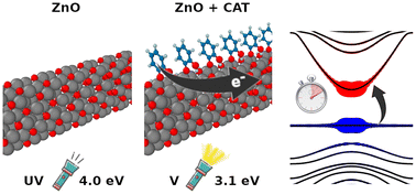 Rationalization of the light-induced electron injection mechanism in a ...