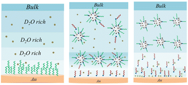 Elucidating the assembly of nanoparticle organic hybrid materials ...