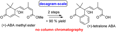 An efficient and scalable synthesis of a persistent abscisic acid ...
