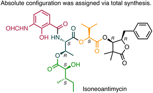 Total synthesis of isoneoantimycin - Organic & Biomolecular Chemistry ...