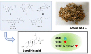 Chemical constituents from Morus alba with proprotein convertase ...