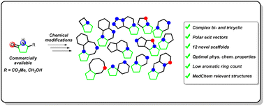 Synthesis of sp3-rich heterocyclic frameworks by a divergent synthesis ...