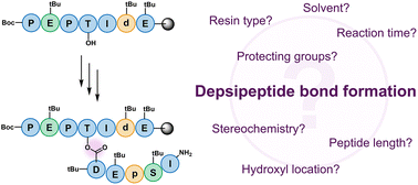 Factors influencing on-resin depsipeptide bond formation: case studies ...