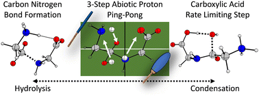 Peptide Condensation
