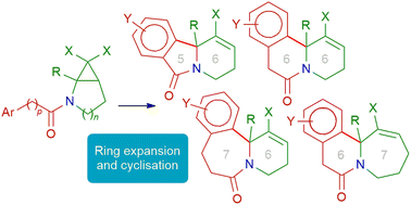 Bicyclic N-dihalocyclopropylamide derivatives as precursors of nitrogen ...