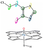 Mechanistic aspects of reactive metabolite formation in clomethiazole ...