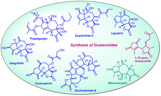 Recent advances in the syntheses of guaianolides - Organic ...