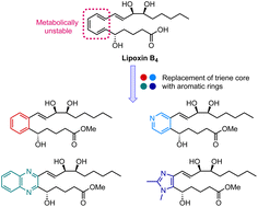 A general synthesis of aromatic and heteroaromatic lipoxin B4 analogues ...