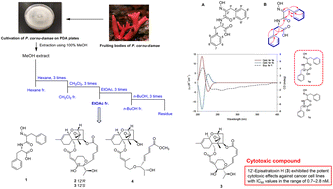 N-Hydroxy-Phe-Phe, a new dipeptide, and cytotoxic macrocyclic ...