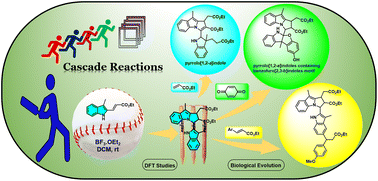 The rapid construction and biological evaluation of densely substituted ...