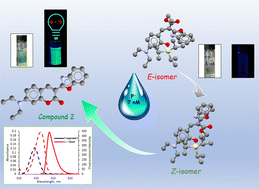 Shining light on fluoride detection: a comprehensive study exploring the potential of coumarin ...