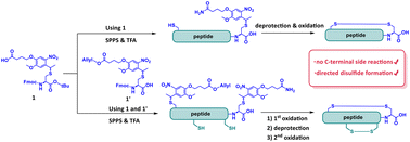 Synthesis of disulfide-rich C-terminal Cys-containing peptide acids ...
