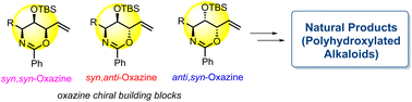 Recent advances in the total synthesis of polyhydroxylated alkaloids ...