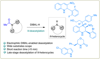 DIBAL-H-mediated N-deacetylation of tertiary amides: synthesis of ...