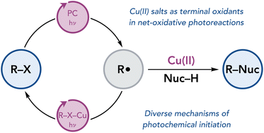 Cu(ii) salts as terminal oxidants in visible-light photochemical ...