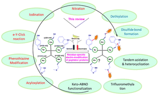 Electrochemistry-enabled residue-specific modification of peptides and ...