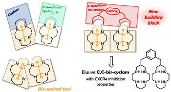 Selective synthesis of an elusive C-functional bis-cyclam and study of ...