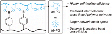 Dual crosslinking polymer networks: correlation between polymer ...
