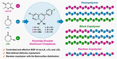 Controlled and effective ring-opening (co)polymerization of rac-lactide ...
