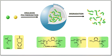 Degradable vinyl polymer particles by radical aqueous emulsion ...