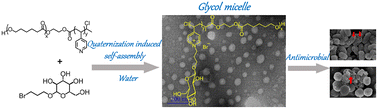 Quaternization-induced micellization of cationic glycopolymers ...