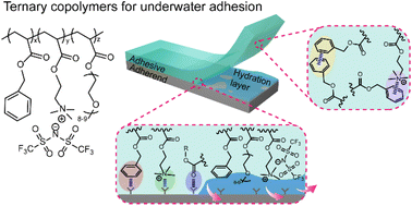 Adhesion Diagram