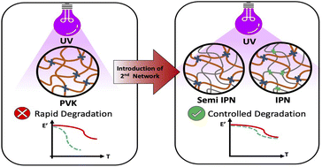Controlled photodegradation of phenyl vinyl ketone polymers by ...