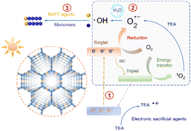 Ligand regulation strategy of COF-based photocatalyst for ROS-mediated ...