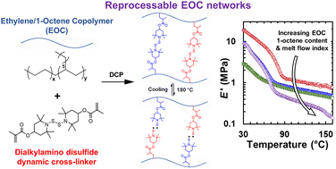 Novel covalent adaptable networks (CANs) of ethylene/1-octene copolymers (EOCs) made by free ...