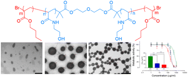 ABA block copolymers comprising a water soluble poly(N-hydroxyethyl ...