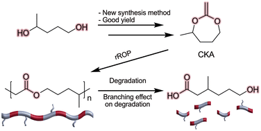 Branched polyesters from radical ring-opening polymerization of cyclic ...