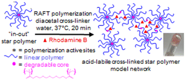 Acid-labile and non-degradable cross-linked star polymer model networks ...