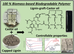 Fully biomass-based biodegradable polymers from lignin and raw castor ...