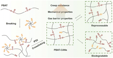 Efficient conversion of poly(butylene adipate-co-terephthalate) into ...