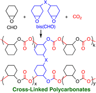 Catalytic synthesis and physical properties of CO2-based cross-linked ...