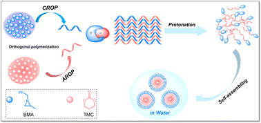 Orthogonal polymerization of aziridine with cyclic carbonates for ...
