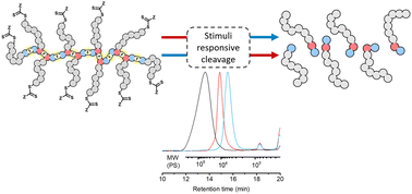 Dual stimuli triggerable degradation of graft copolymers - Polymer ...