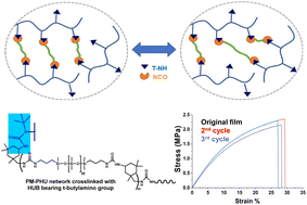 Dynamic poly(hindered urea) hybrid network materials crosslinked with ...