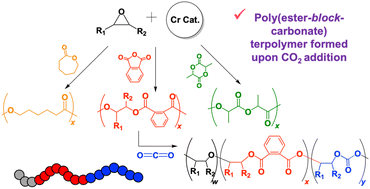 Ring opening polymerization and copolymerization for polyester and polycarbonate formation by a ...