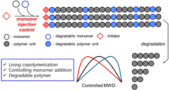 Tailoring molecular weight distribution via polymer degradability ...